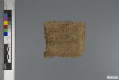 Papyrus Fragment: P.NYU inv 1119: New York University Collection of ...