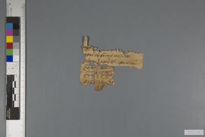 Papyrus Fragment: P.NYU inv 0636: New York University Collection of ...