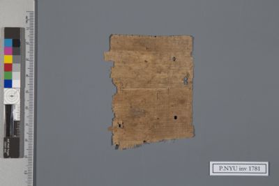 Papyrus Fragment: P.NYU inv 1781: New York University Collection of ...