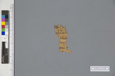 Papyrus Fragment: P.NYU inv 0756: New York University Collection of ...