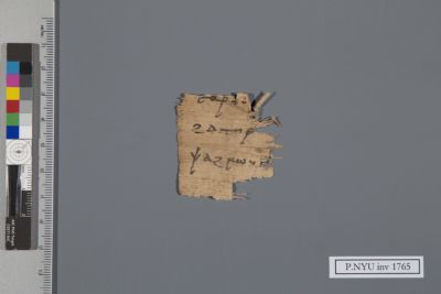 Papyrus Fragment: P.NYU inv 1765: New York University Collection of ...