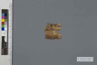 Papyrus Fragment: P.NYU inv 1495: New York University Collection of ...