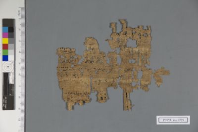 Papyrus Fragment: P.NYU inv 0795: New York University Collection of ...