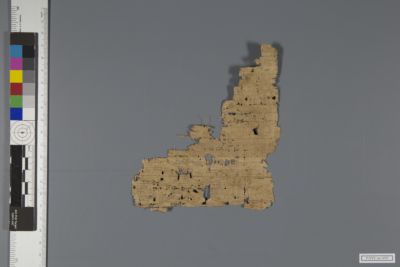 Papyrus Fragment: P.NYU inv 0707: New York University Collection of ...