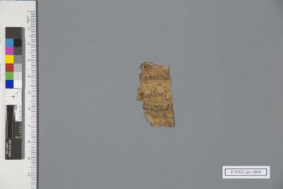 Papyrus Fragment: P.NYU inv 0809: New York University Collection of ...