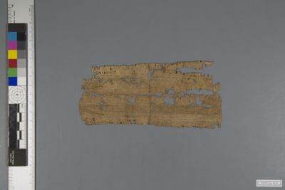 Papyrus Fragment: P.NYU inv 0619: New York University Collection of ...