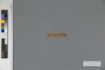Papyrus Fragment: P.NYU inv 0957: New York University Collection of ...