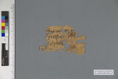Papyrus Fragment: P.NYU inv 1167: New York University Collection of ...