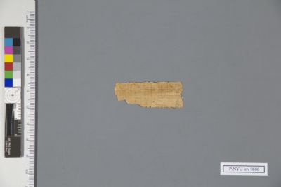 Papyrus Fragment: P.NYU inv 0686: New York University Collection of ...