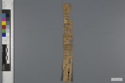 Papyrus Fragment: P.NYU inv 1651: New York University Collection of ...