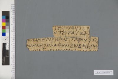 Papyrus Fragment: P.NYU inv 0671: New York University Collection of ...