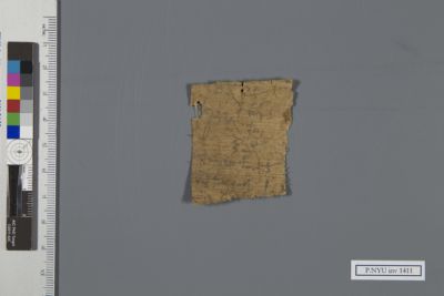 Papyrus Fragment: P.NYU inv 1411: New York University Collection of ...