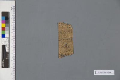 Papyrus Fragment: P.NYU inv 1584: New York University Collection of ...