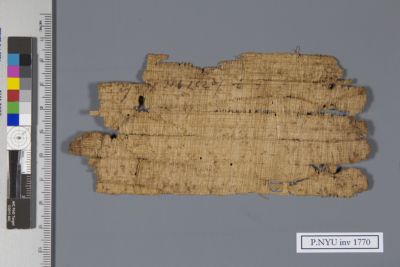 Papyrus Fragment: P.NYU inv 1770: New York University Collection of ...