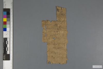 Papyrus Fragment: P.NYU inv 0901: New York University Collection of ...