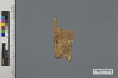 Papyrus Fragment: P.NYU inv 1492: New York University Collection of ...