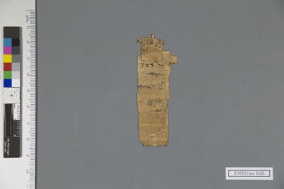 Papyrus Fragment: P.NYU inv 1025: New York University Collection of ...