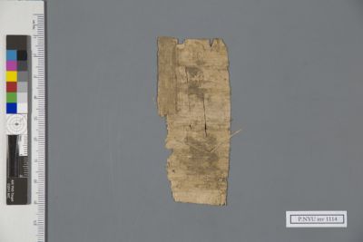 Papyrus Fragment: P.NYU inv 1114: New York University Collection of ...