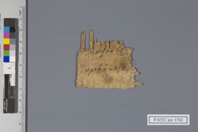Papyrus Fragment: P.NYU inv 1761: New York University Collection of ...
