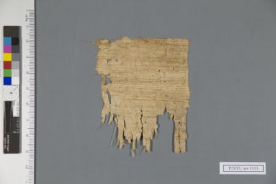 Papyrus Fragment: P.NYU inv 1113: New York University Collection of ...