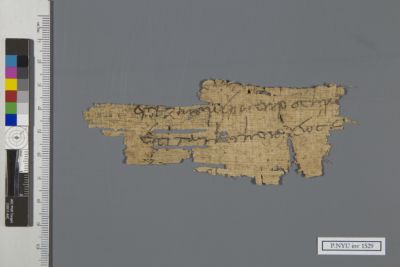 Papyrus Fragment: P.NYU inv 1529: New York University Collection of ...