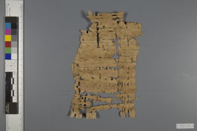 Papyrus Fragment: P.NYU inv 0578: New York University Collection of ...