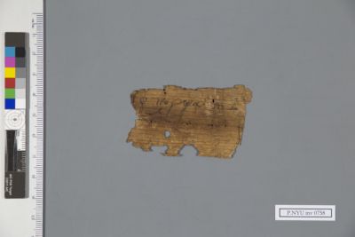 Papyrus Fragment: P.NYU inv 0758: New York University Collection of ...
