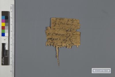 Papyrus Fragment: P.NYU inv 1513: New York University Collection of ...