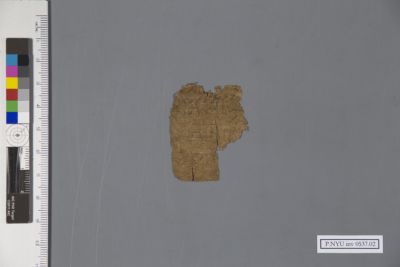 Papyrus Fragment: P.NYU inv 0537.02: New York University Collection of ...